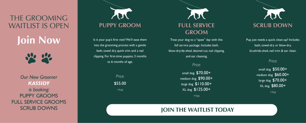 EAST COAST DOG | Shop & Grooming co.